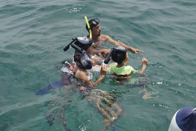 Half Day Lite Tour to Isla Mujeres - Authentic Insights from Reviews