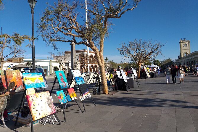 Half Day - Los Cabos City Tour with visit to the Arch - Reviewing Authentic Feedback