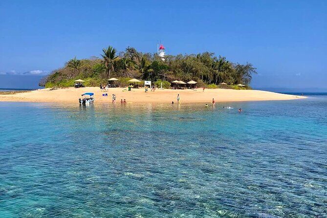 Half Day Low Island and Lagoon Snorkeling from Port Douglas - The Experience in Detail