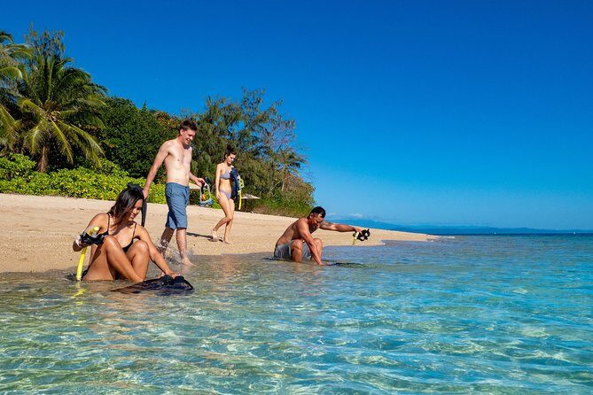 Half Day Low Isles Snorkelling Tour from Port Douglas - An In-Depth Look at the Experience