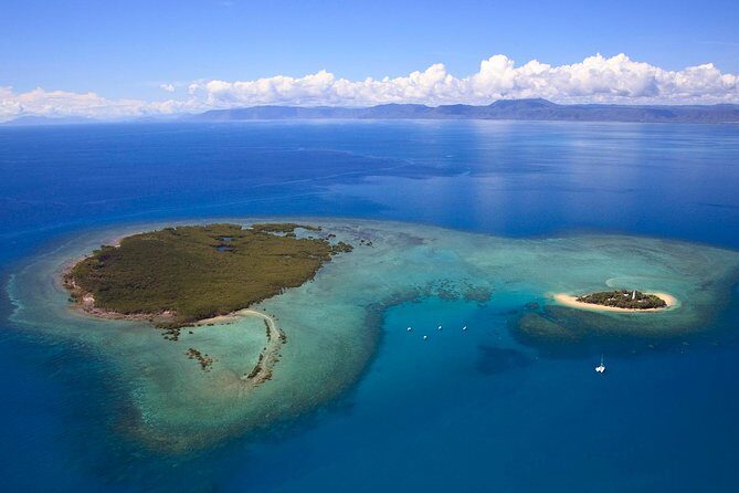 Half Day Low Isles Snorkelling Tour from Port Douglas - FAQs