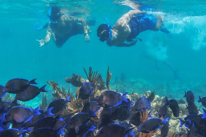 Half-Day Luxury Sailing Experience in Tulum with Open Bar - FAQ