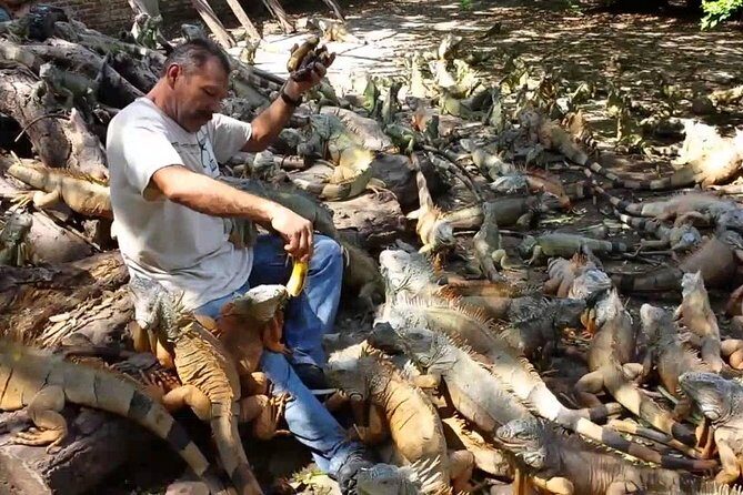 Half-day Manzanillo City Tours - Explore the Charm of Manzanillo with a Half-Day City Tour