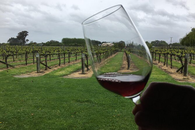 Half-Day Marlborough Wine Tour & Beer Tour - Authentic Insights from Reviewers