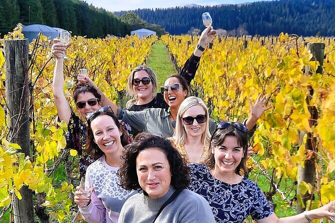 Half Day Martinborough Winery Tour from Wellington - Introduction: Exploring Martinboroughs Wine Country Without the Stress