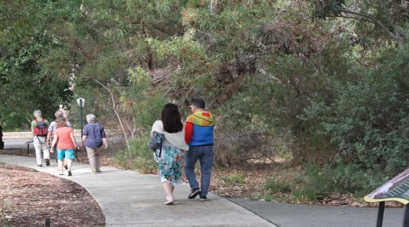 Half-Day Morning Perth & Fremantle City Explorer - Through the Suburbs and Along Cottesloe Beach