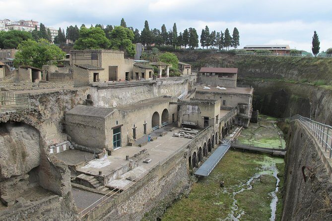 Half Day Morning Tour of Herculaneum from Sorrento - Round-Trip Transportation and Convenience