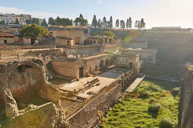 Half Day Morning Tour of Herculaneum from Sorrento - Price and Value