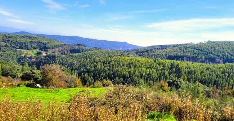 Half-Day Mountain Jeep Safari with firewater tasting - Discover the Algarve’s Hidden Gems with a Half-Day Mountain Jeep Safari