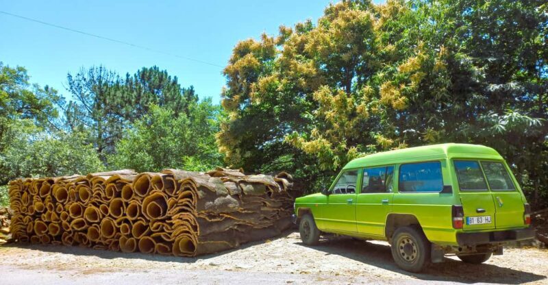 Half-Day Mountain Jeep Safari with firewater tasting - What We Love About This Safari