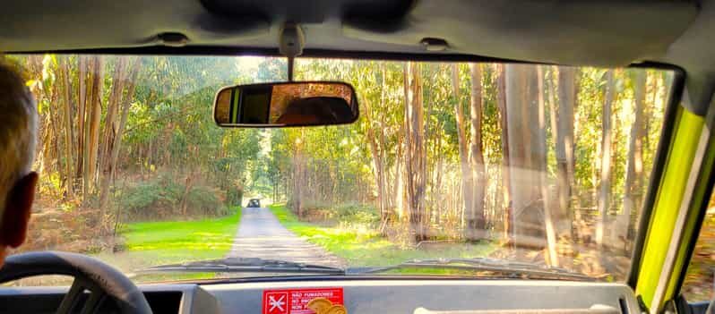 Half-Day Mountain Jeep Safari with firewater tasting - Potential Downsides and Considerations