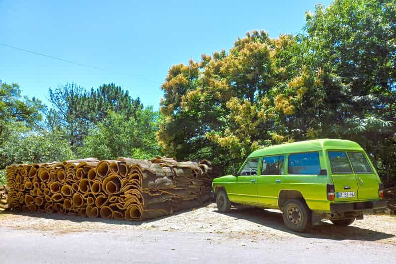 Half-Day Mountain Jeep Safari with firewater tasting - Final Thoughts