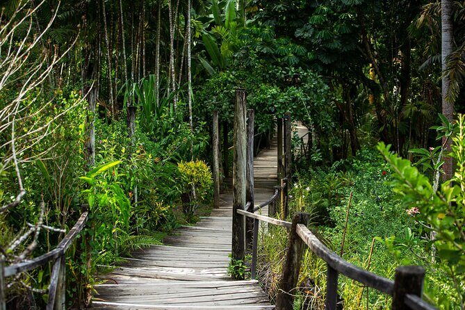 Half Day Nadi Tour incls Sri Siva Temple, Orchid Gardens,Local Village & Markets - FAQ