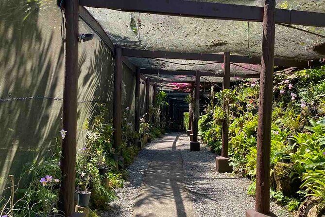 Half Day Nadi Tour Temple, Market, Gardens and Mud Pools - Exploring the Itinerary in Detail