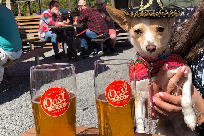 Half-Day Niagara Micro Brewery Tour - Why This Tour Works for Travelers