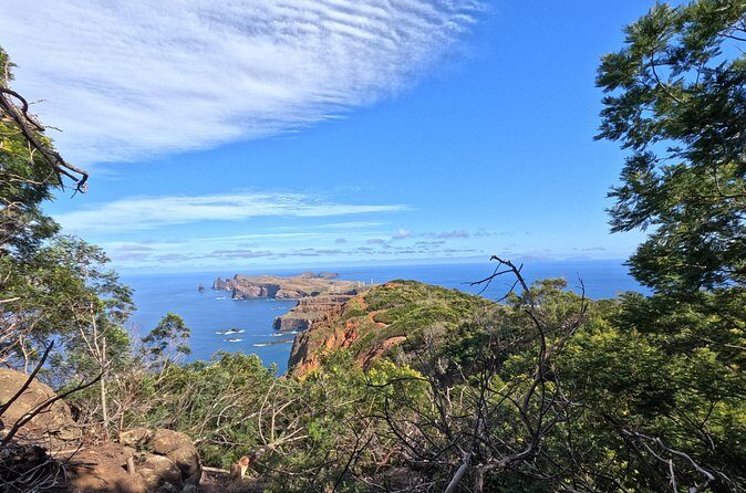 Half Day of Secrets: Madeira 4x4 Private Tour - In The Sum Up