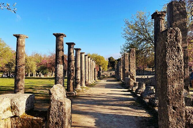 Half Day Olympia Private Tour - How It Works: Meeting and Timing  