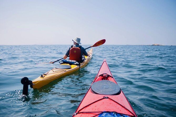 Half-Day Orleans Island Small-Group Sea Kayaking Tour - What to Expect from Your Sea Kayaking Adventure