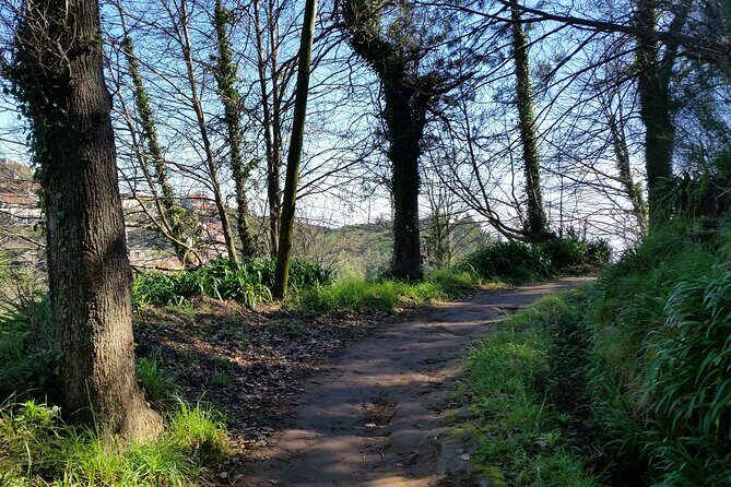 Half-Day Paradise Valley Walking Tour - A Detailed Look at the Paradise Valley Walking Tour