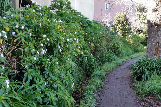 Half-Day Paradise Valley Walking Tour - Who Should Consider This Tour?