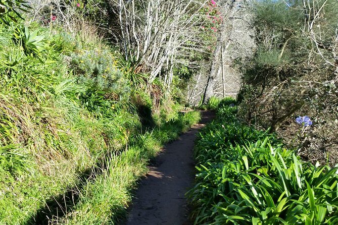 Half-Day Paradise Valley Walking Tour - FAQs
