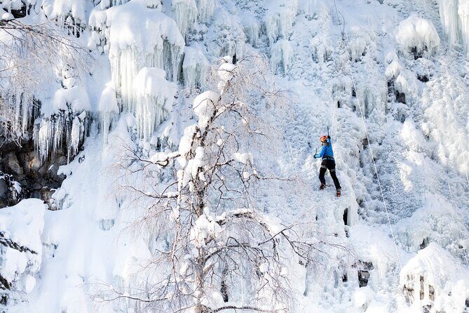 Half-Day Premium Ice Climbing in Pyhä Lapland - What to Expect: The Itinerary Breakdown