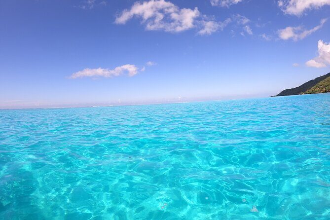 Half Day Private Boat Snorkeling Excursion Moorea - The Cultural and Scenic Highlights