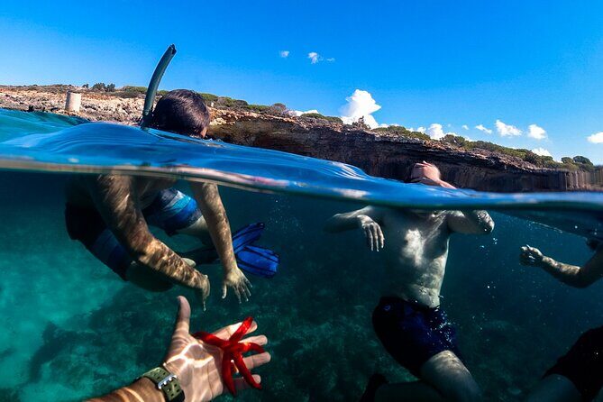 Half Day Private Boat Tour - Malta Blue Lagoon Comino and Gozo - Who Is This Tour Best For?