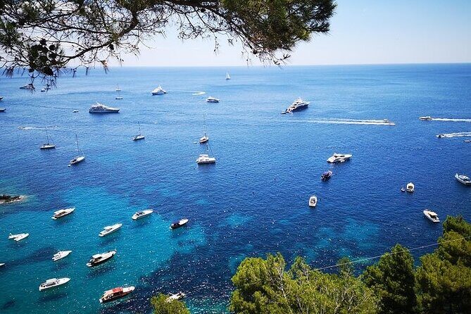 Half Day Private Boat Tour of Capri - The Sum Up: Why This Private Boat Tour Is Worth It