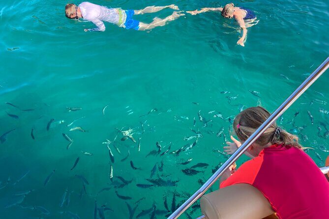 Half Day Private Boat Tour to Cala Violina - Authentic Insights from Past Travelers