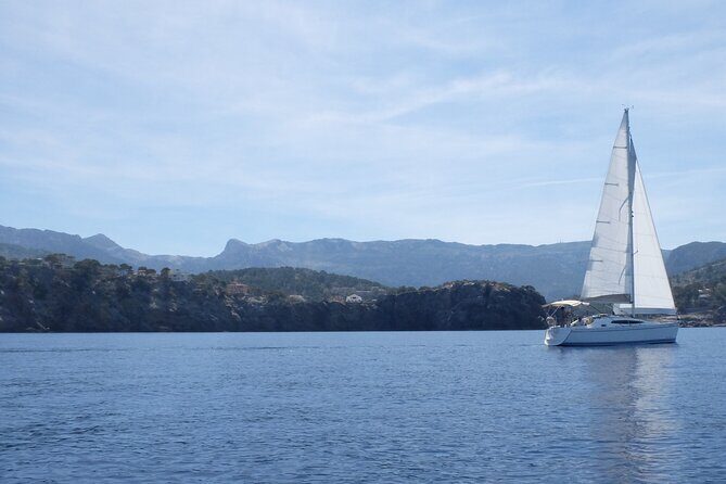 Half day private boat trip in Port de Soller - Key Points