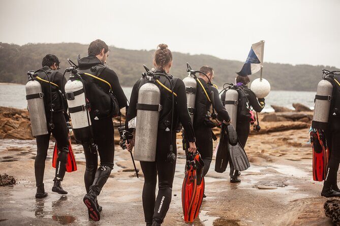 Half-Day Private Discover Dive at Australia's Iconic Beach - The Sum Up