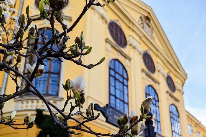 Half-Day Private Food and Wine Walking Tour Oradea Romania - An In-Depth Look at the Itinerary