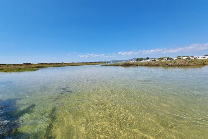 Half-Day Private Guided Kayak Island Tour - Authentic Experiences from Past Participants