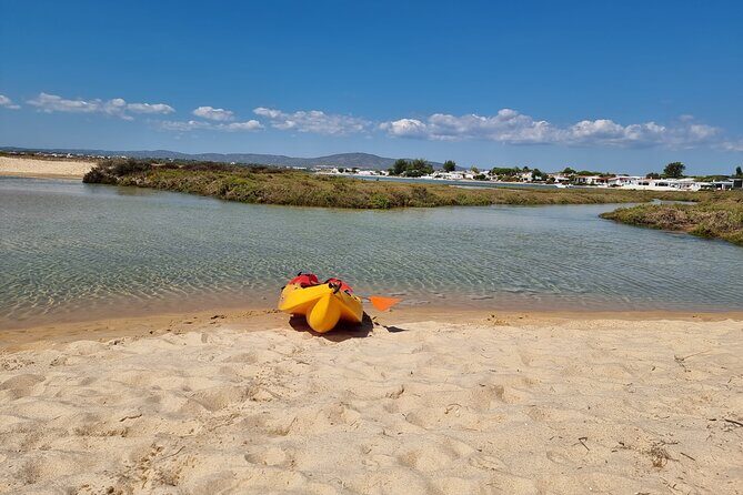Half-Day Private Guided Kayak Island Tour - FAQs
