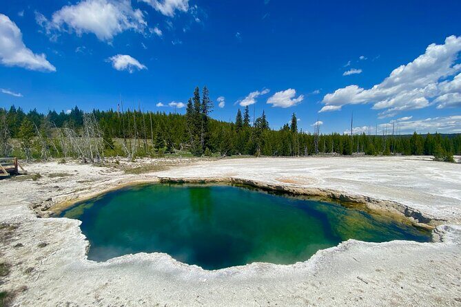 Half Day Private in Yellowstone Geyser Basin Tour - A Closer Look at the Half Day Private in Yellowstone Geyser Basin Tour