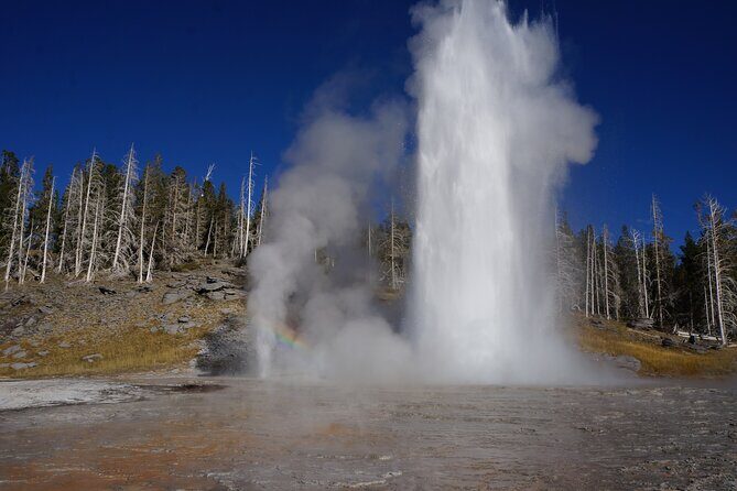 Half Day Private in Yellowstone Geyser Basin Tour - Key Points