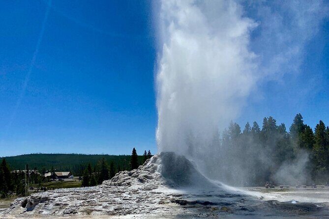 Half Day Private in Yellowstone Geyser Basin Tour - What to Expect on the Day