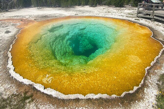 Half Day Private in Yellowstone Geyser Basin Tour - Why You Should Consider This Tour
