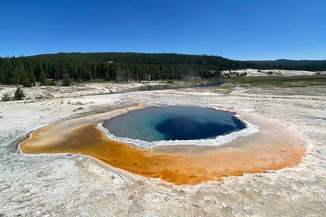 Half Day Private in Yellowstone Geyser Basin Tour - Final Thoughts