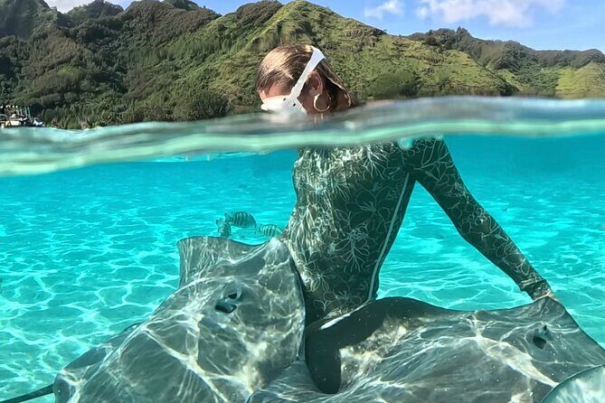 Half Day / Private Lagoon Adventure in Mo'orea - Practical Details: What You Need to Know