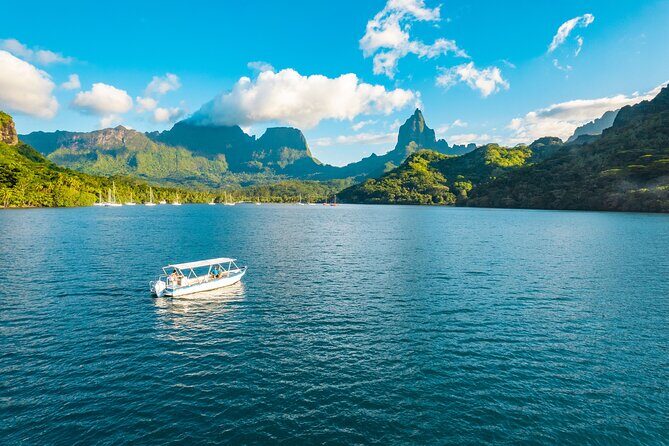 Half Day / Private Lagoon Adventure in Mo'orea - Why This Tour Is a Great Choice