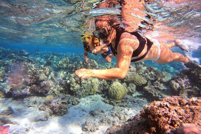 Half Day / Private Lagoon Adventure in Mo'orea - FAQs