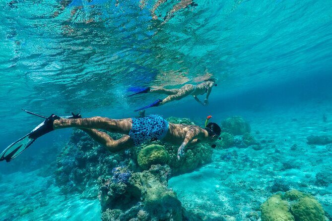 Half Day Private Lagoon Snorkeling Experience - Why This Tour Offers Great Value