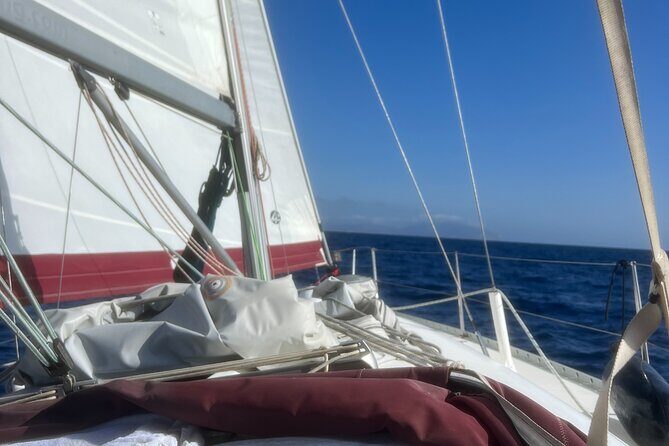 Half day Private Sailing cruise in Santorini island up to 6 pax - Final Thoughts