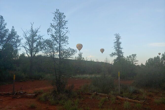 Half-Day Private Scenic Tour of Sedona - The Sum Up