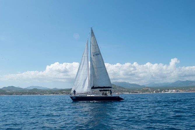 Half-Day Private Snorkel Sailing Adventure in Cabo San Lucas - The Experience: What Travelers Are Saying