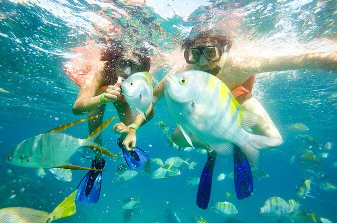 Half-Day Private Snorkel Sailing Adventure in Cabo San Lucas - Who Would Love This Tour?