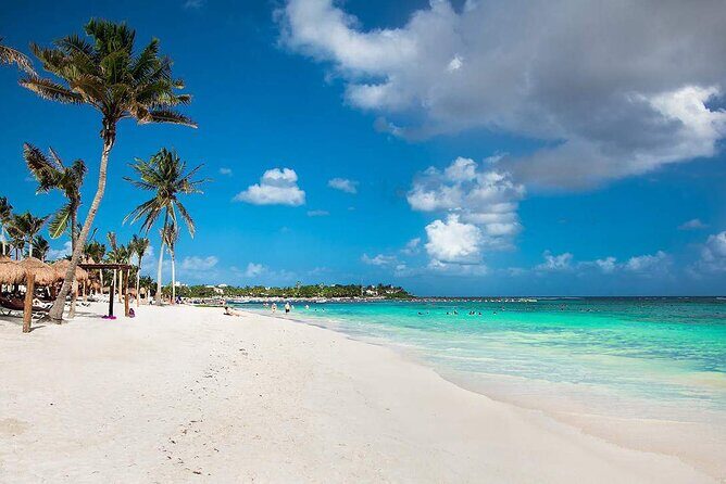 Half Day Private Snorkeling with Turtles and Majestic Cenotes - The Sum Up