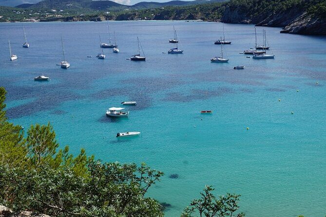 Half-Day Private Swimming Cruise along the Athenian Riviera - The Sum Up